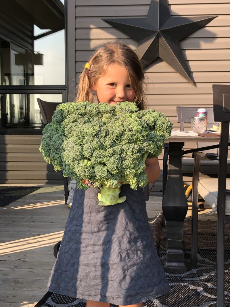 Happiness is a broccoli crown